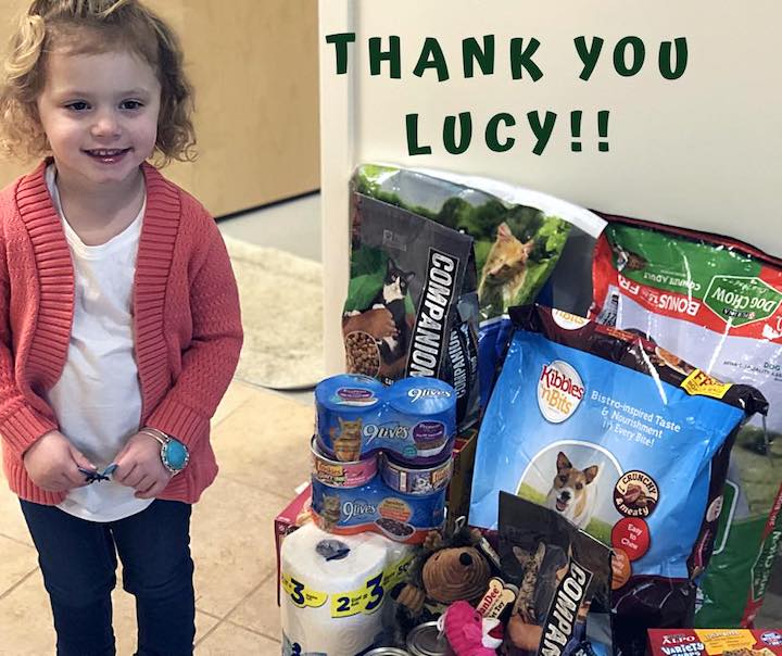 Lucy | Pope Memorial Humane Society