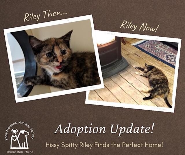 Update on Riley | Pope Memorial Humane Society