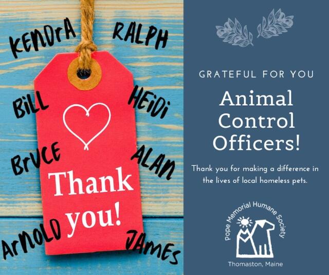 Day 19: Thank You to All of the Animal Control Officers! | Pope ...