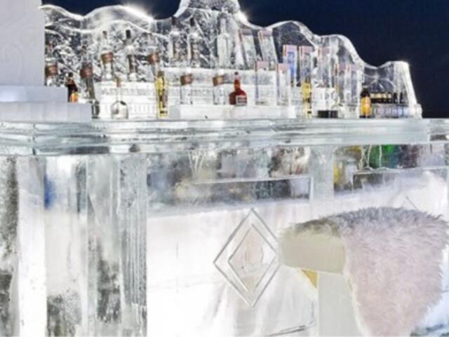 Ice Bar Anyone? | Pope Memorial Humane Society