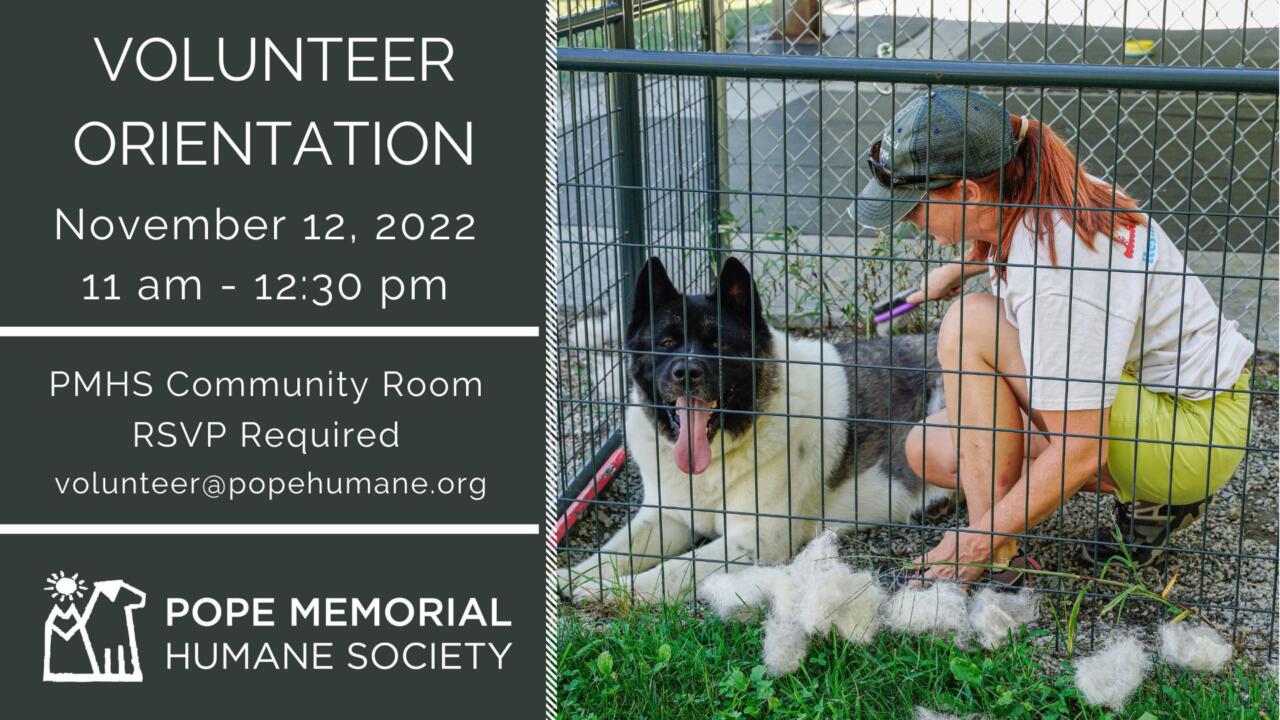 November Volunteer Orientation | Pope Memorial Humane Society