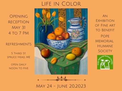 “Life in Color” by Spruce Head artist James Stephen Zoller to exhibit ...