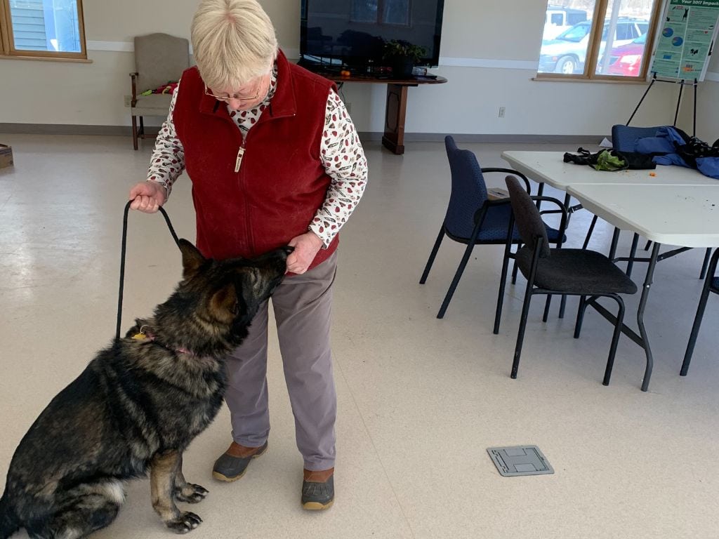 WS Volunteer | Pope Memorial Humane Society