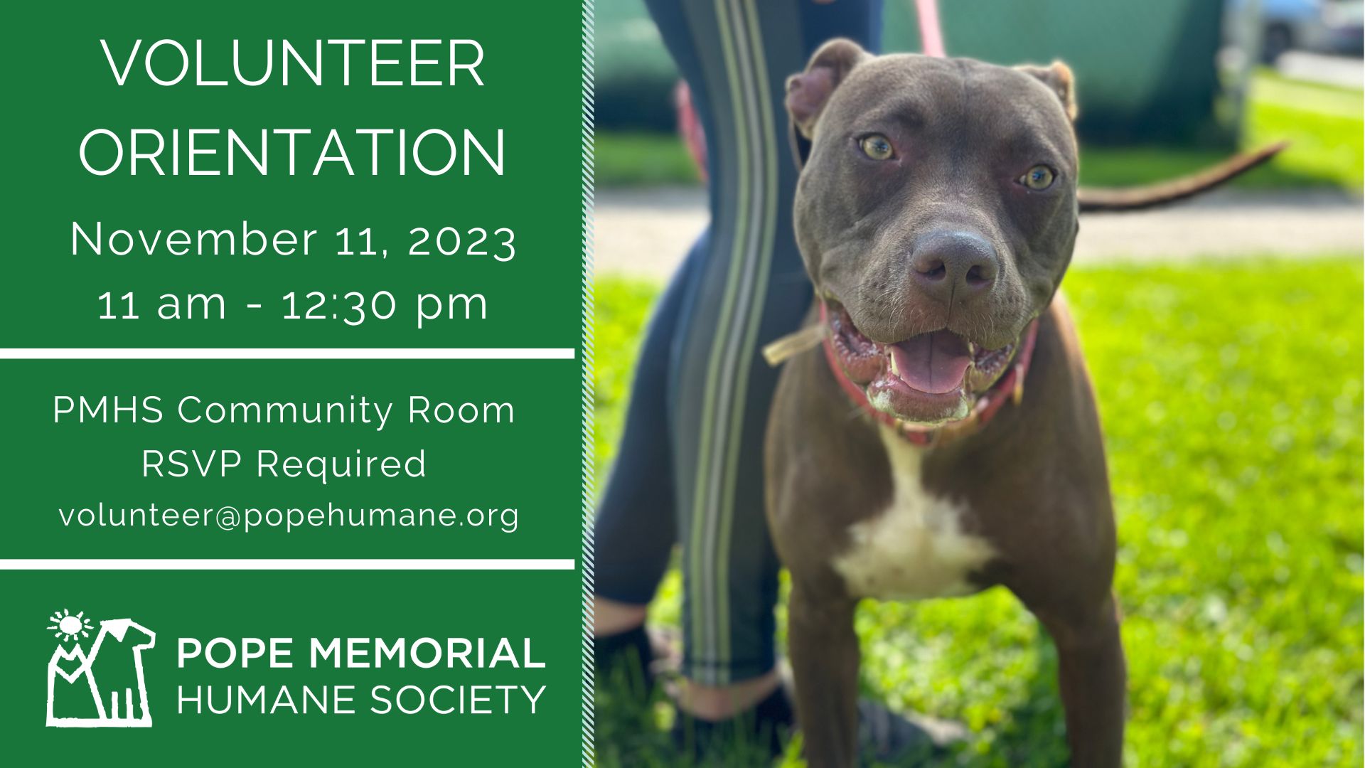 November Volunteer Orientation | Pope Memorial Humane Society
