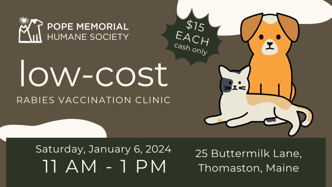 Low-Cost Rabies Vaccination Clinic | Pope Memorial Humane Society