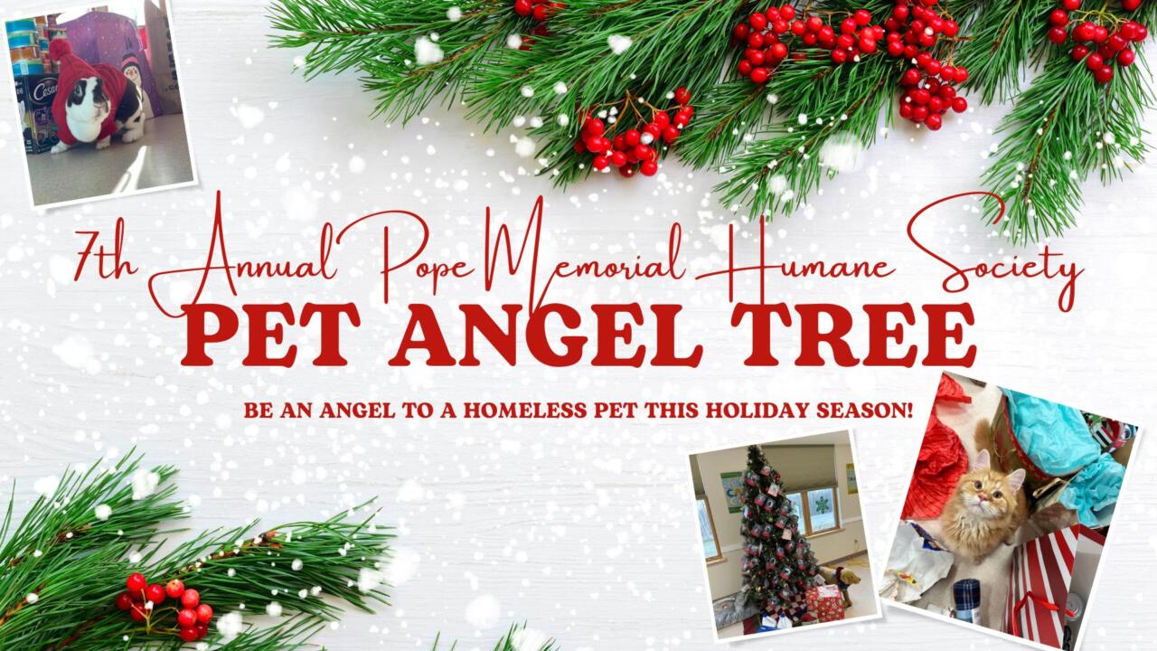 7th Annual PMHS Pet Angel Tree | Pope Memorial Humane Society