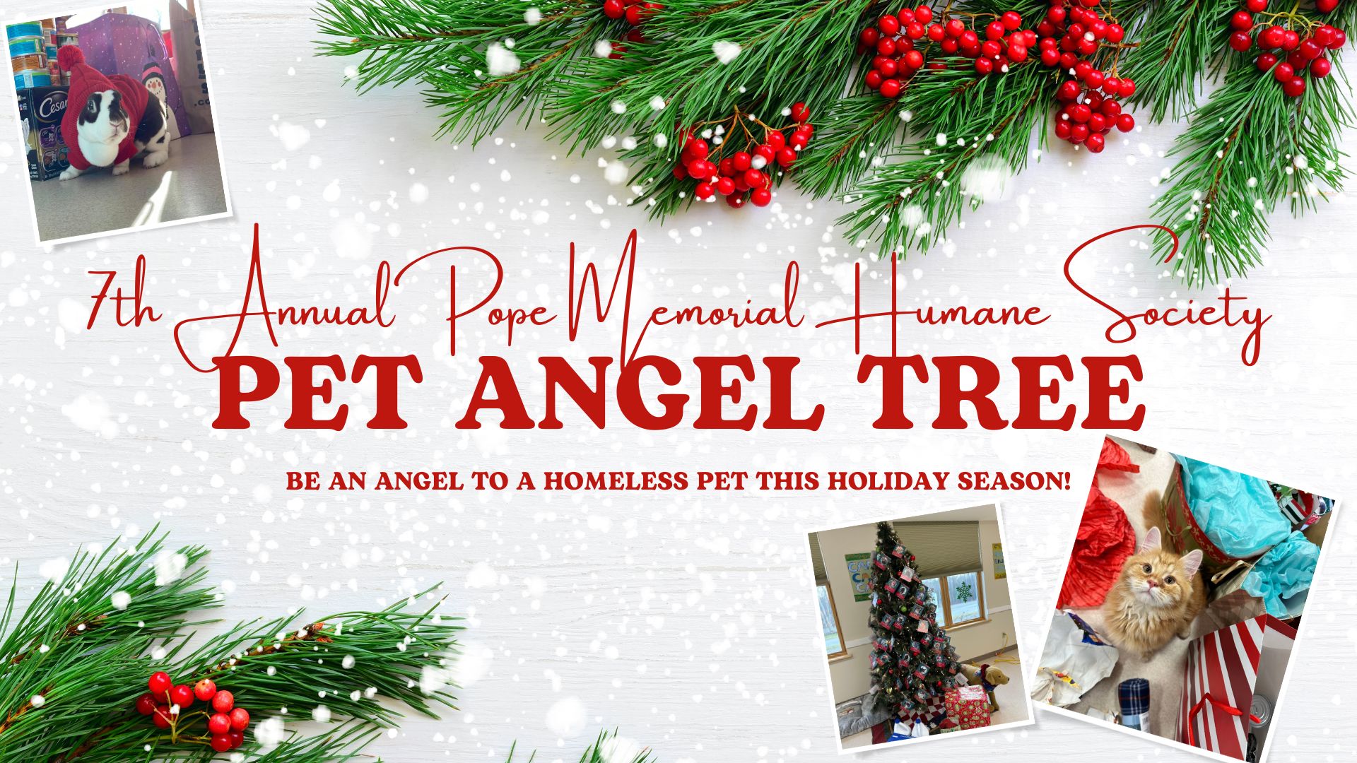7th Annual PMHS Pet Angel Tree | Pope Memorial Humane Society